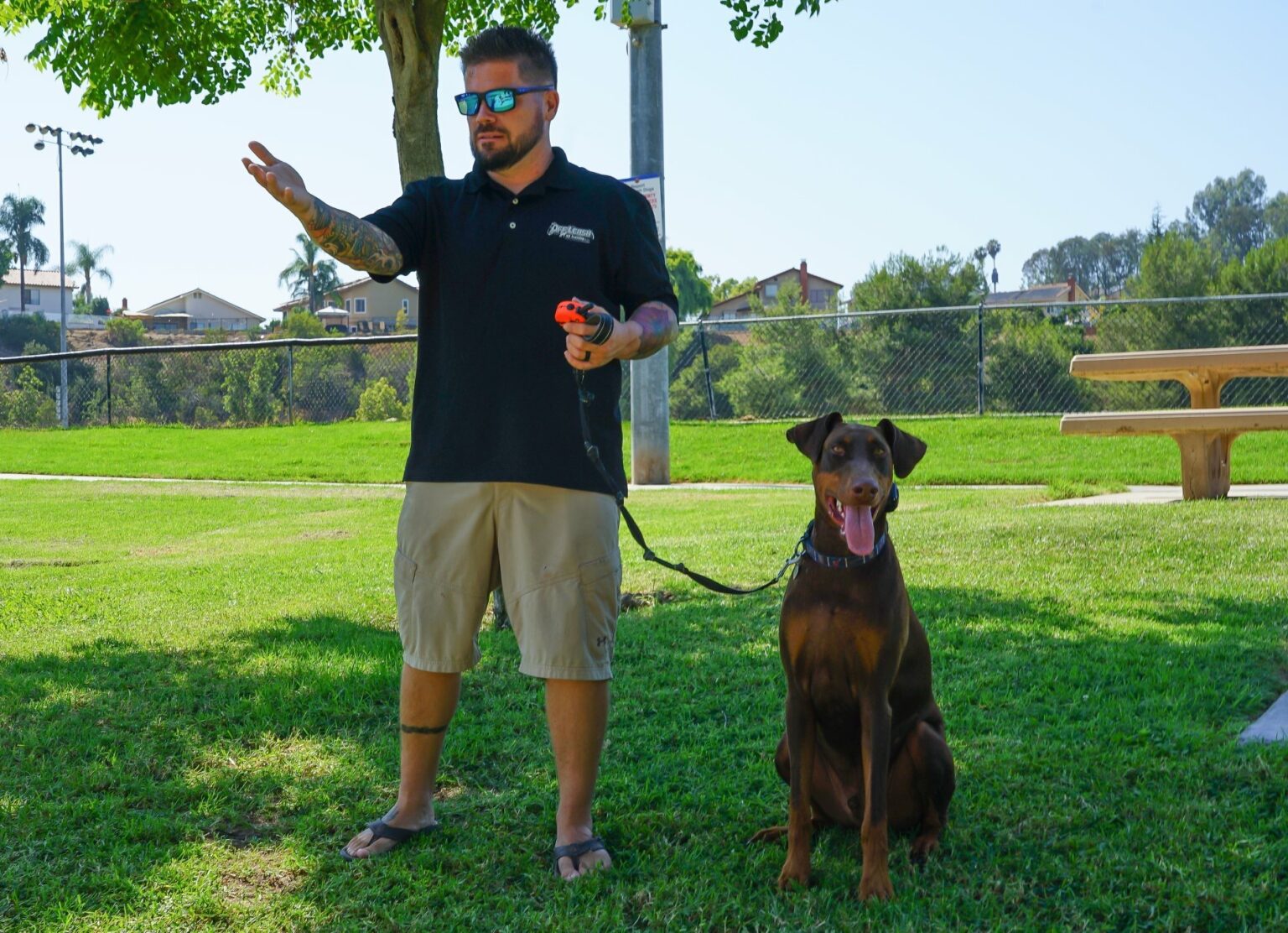 Guide to Choosing the right Dog Trainer